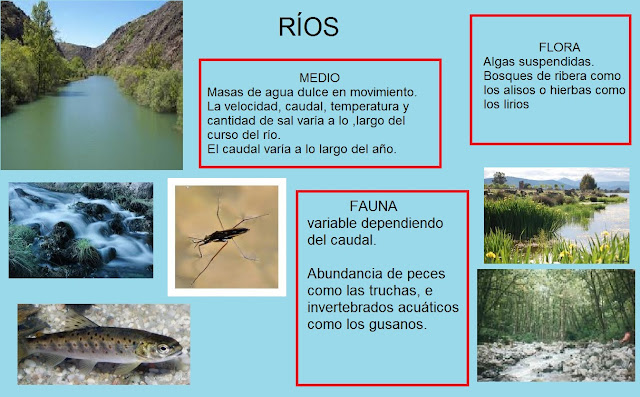 MITOLGINATURAL: LOS ECOSISTEMAS