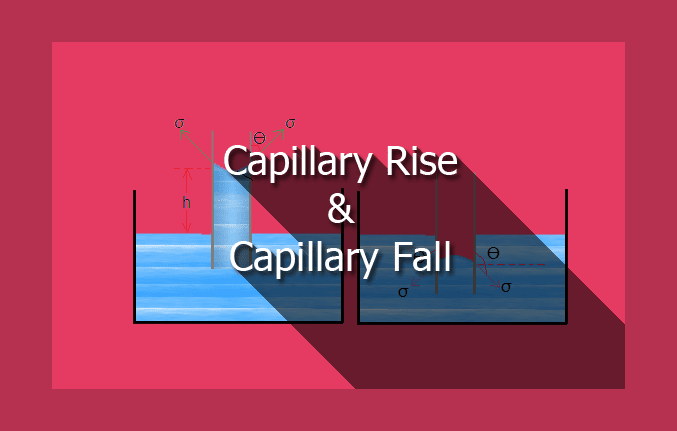 What Is Capillary Action? Expression for Capillary Rise/ Fall?