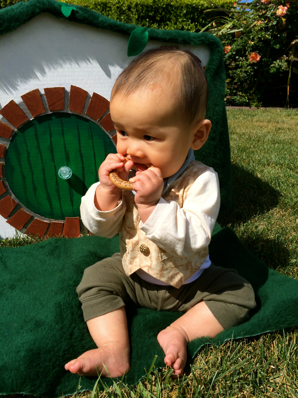 Cation Designs: The Geekiest Baby: My Little Hobbit