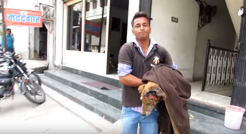 Esperando la muerte, carcomido por los gusanos, el amor aparecería para ...