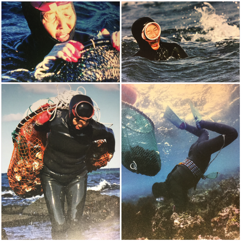 EthnoScopes : Tracks of an Anthropologist: Haenyeo Museum, Jeju