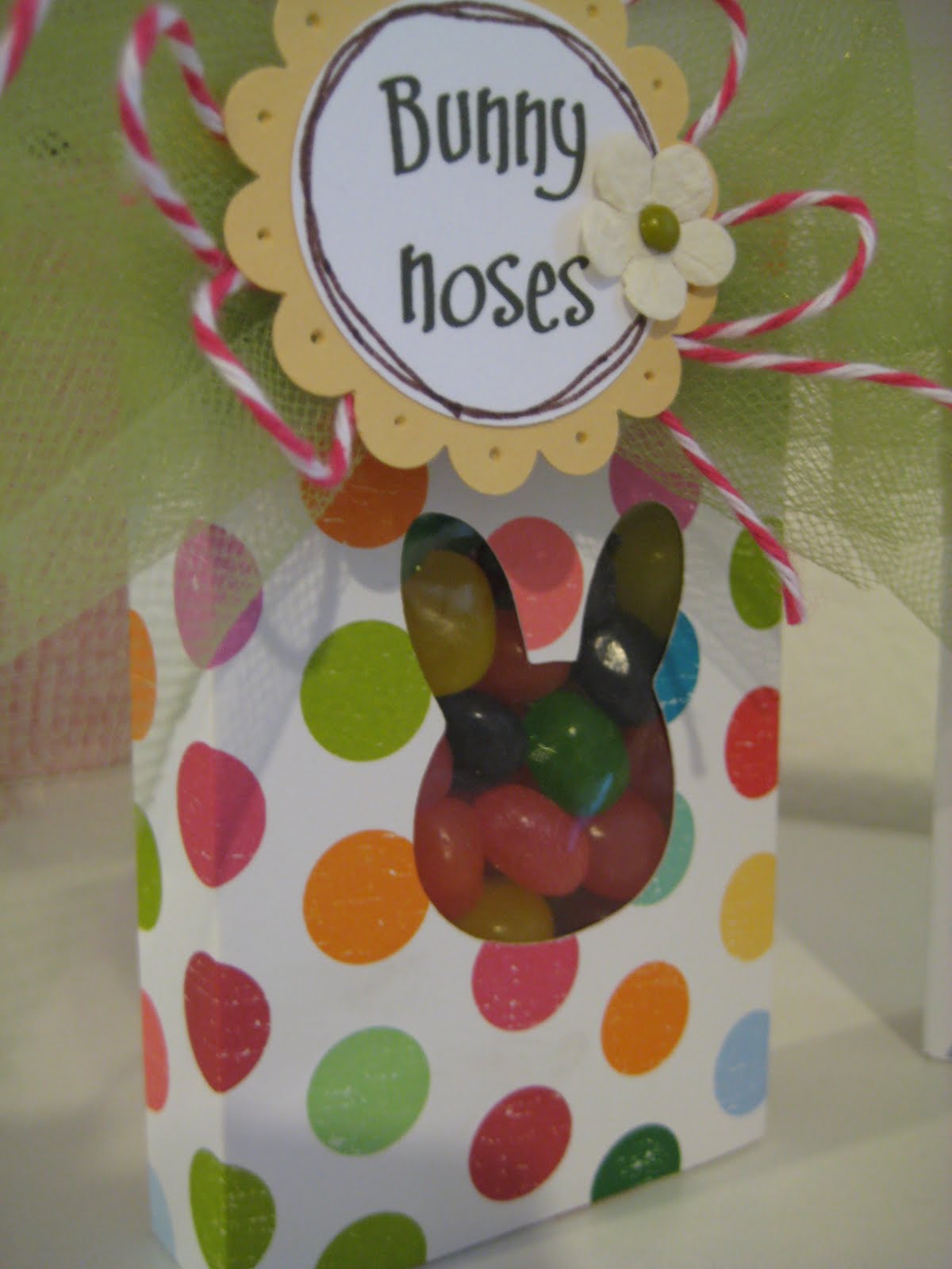 She's a Sassy Lady: Bunny noses!