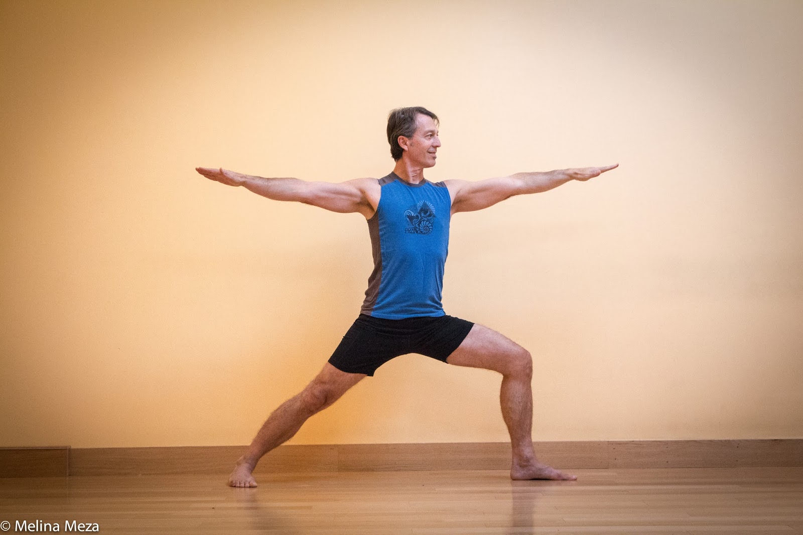 Yoga For Healthy Aging: Static versus Dynamic Poses