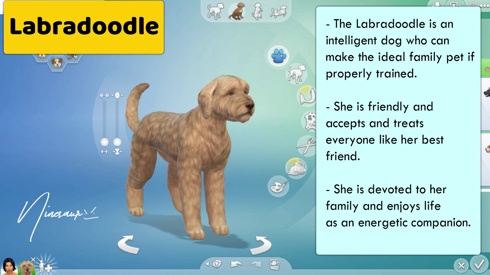 15 Pictures About sims 4 dog breeds list - Dogs | Cats