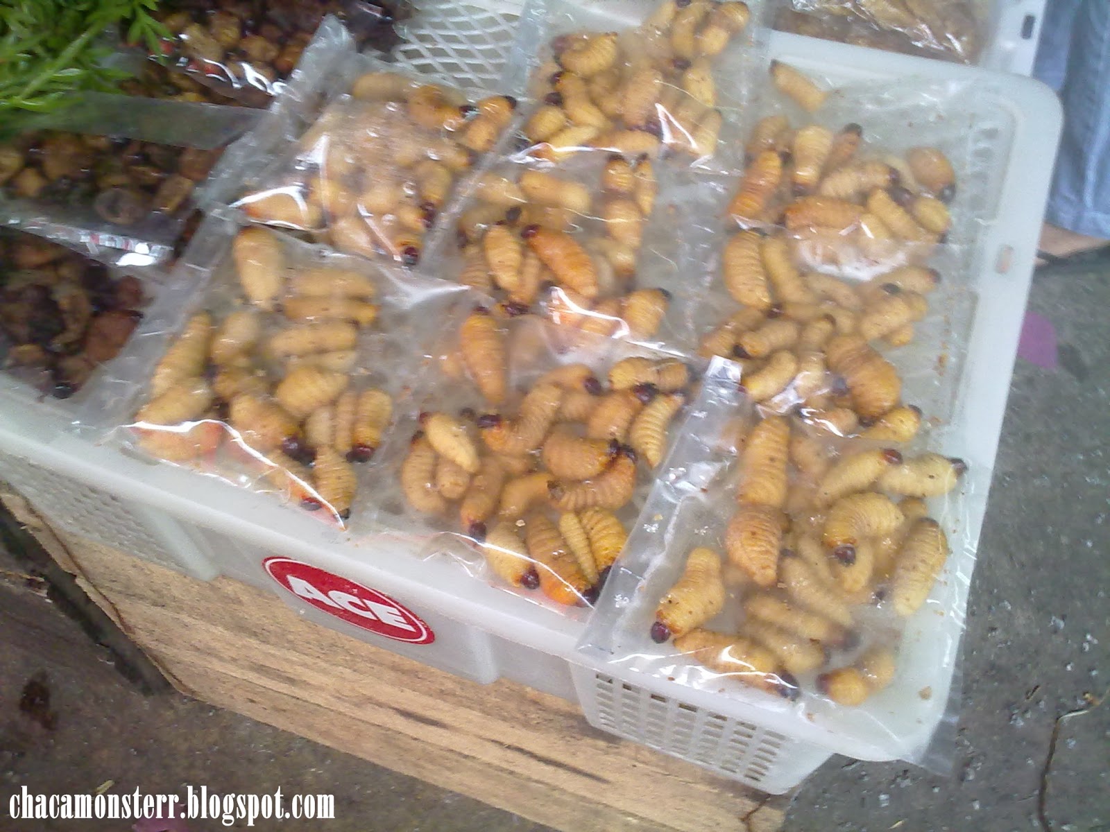 Chaca Monster: Fresh from Pasar Basah Mukah, Sarawak