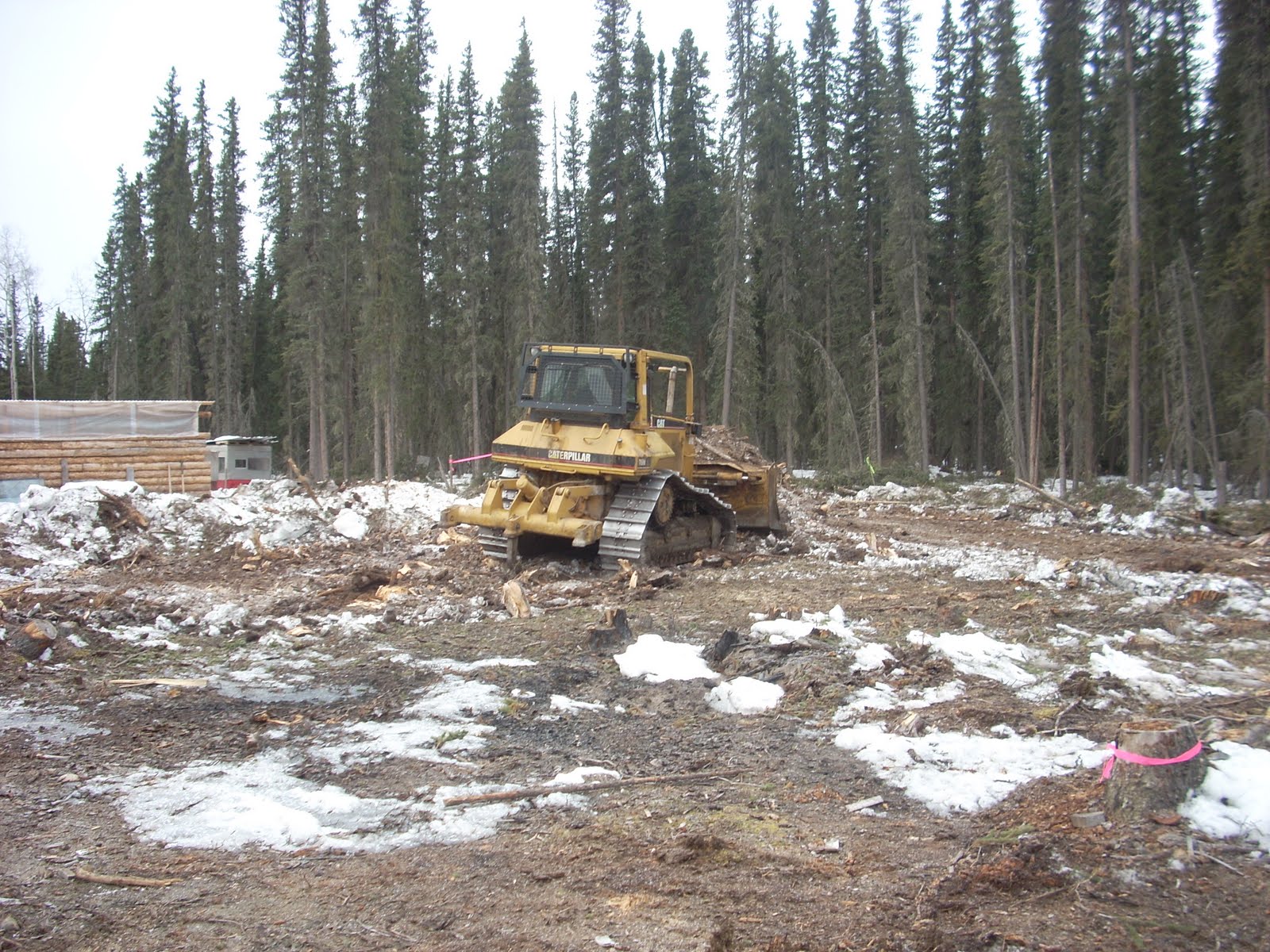 Walkers in Alaska: Dozer work for the new Shop/Garage!