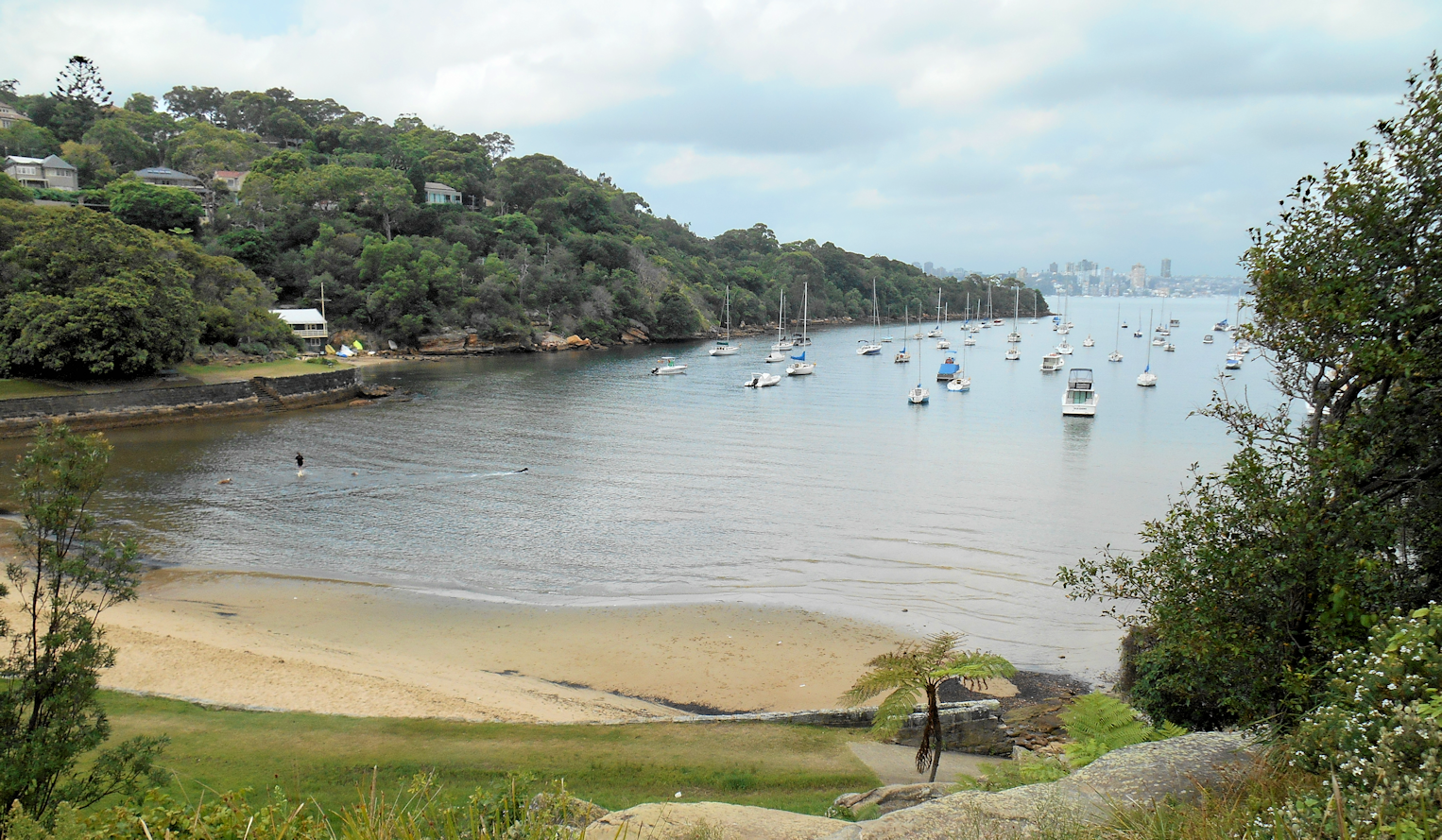 Mosman Bay to Balmoral | Our Walks
