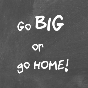 HERO's Gaming Blog: Go big or go home?