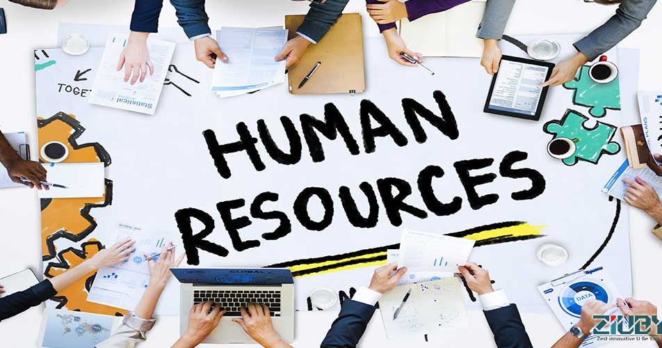 Web Designing & Development: Reasons why Companies need human resources