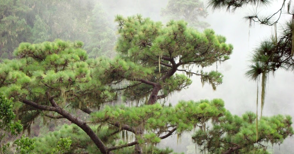 APRENDER A PROGRAMAR CON PYTHON: ARITMÉTICA BÁSICA.