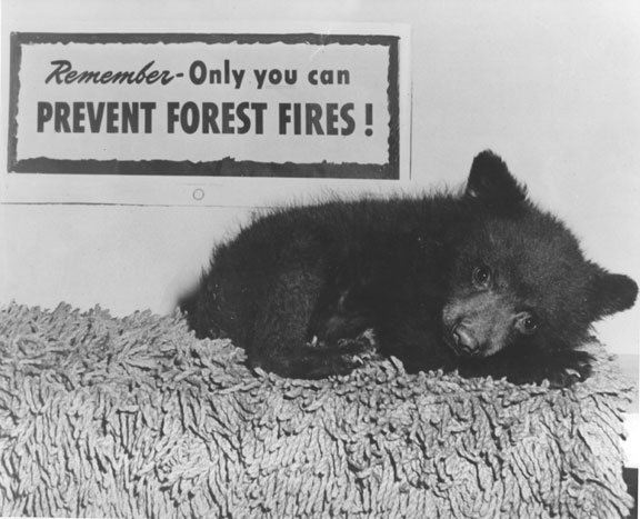 Virginia Wildfire Information and Prevention: The Home Of Smokey Bear ...