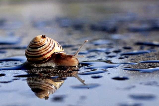 Alluring Planet: 2014