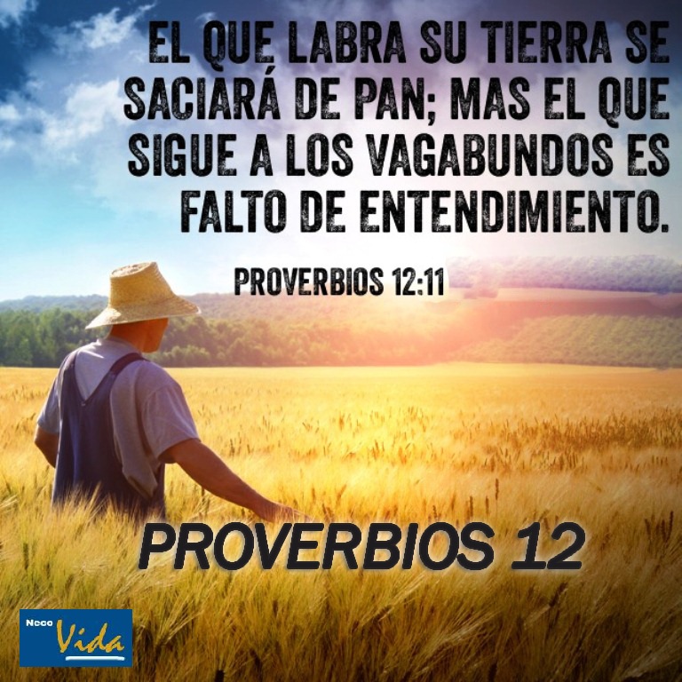 Neco Vida: Leyendo... Proverbios 12