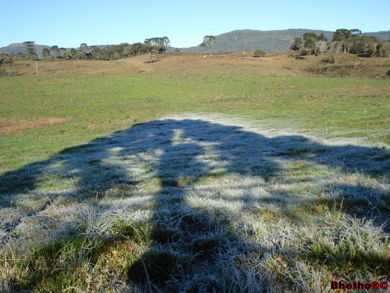 LeãoBaioMotorClub: IMAGENS DO INVERNO LAGEANO - GEADA (LAGES - SC -BRASIL)