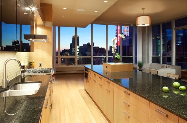 702 Hollywood: Penthouse Kitchen Design
