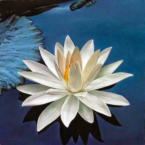 TELUGU WEB WORLD: WHITE LOTUS - THELLA THAMARA PUVVU
