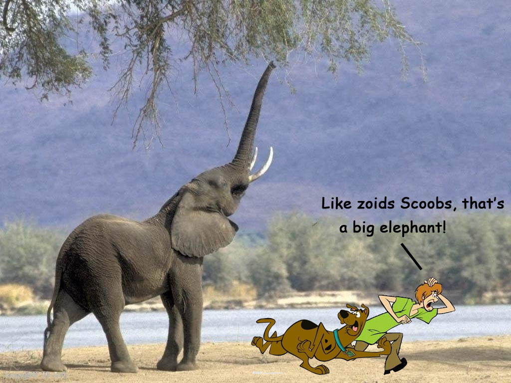 Aurora Biomed Blog: Elephant DNA Never Forgets