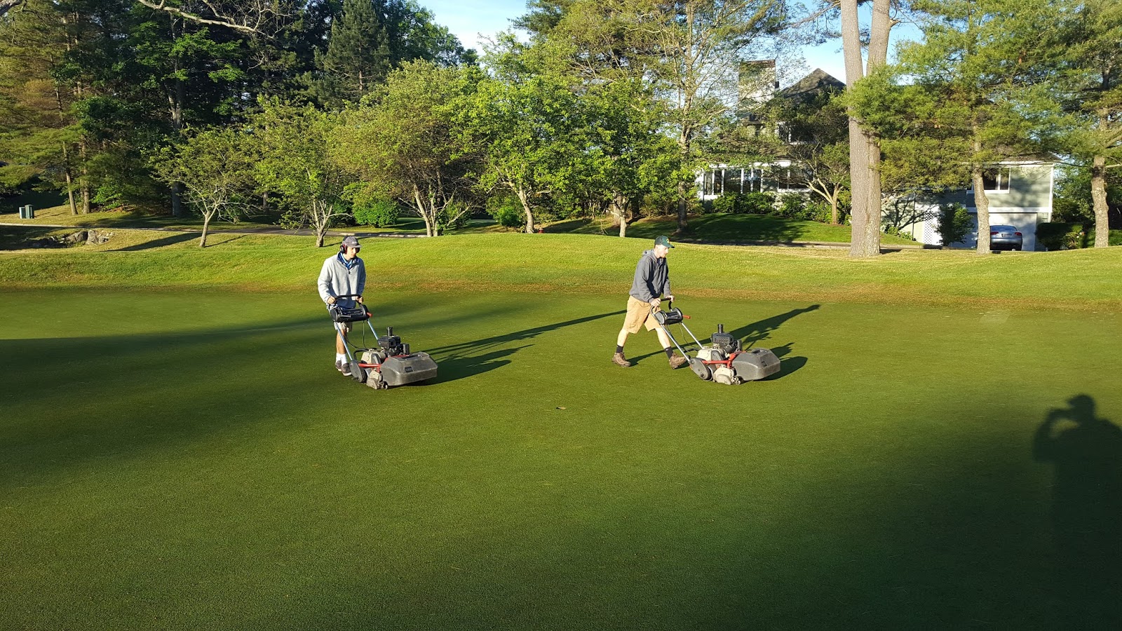 Ipswich Country Club Golf Course Maintenance: Brushing Greens