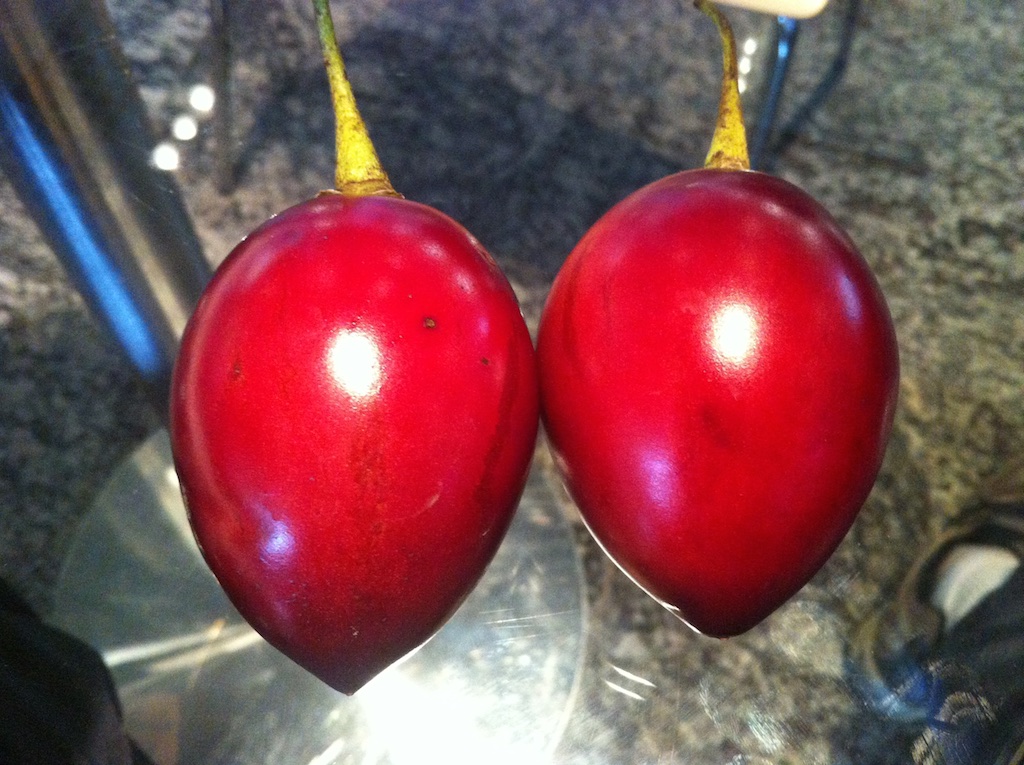 Musings on Life in Hong Kong: Rwandan Tree Tomato (tamarillo)
