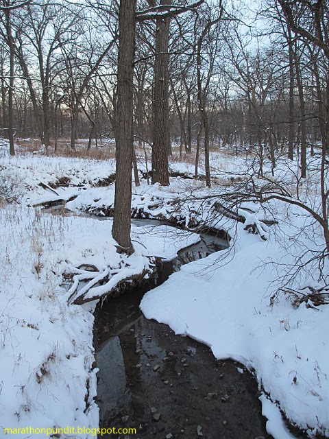 Marathon Pundit: Miami Woods creek in winter