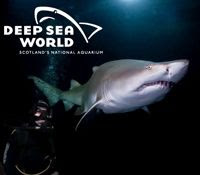 Rosyth District(District Commissioner) News