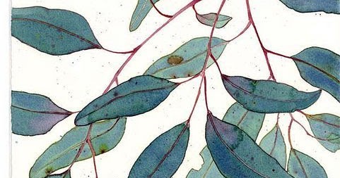 AHA и BHA кислоты в уходе. Как применять и в чем отличие?