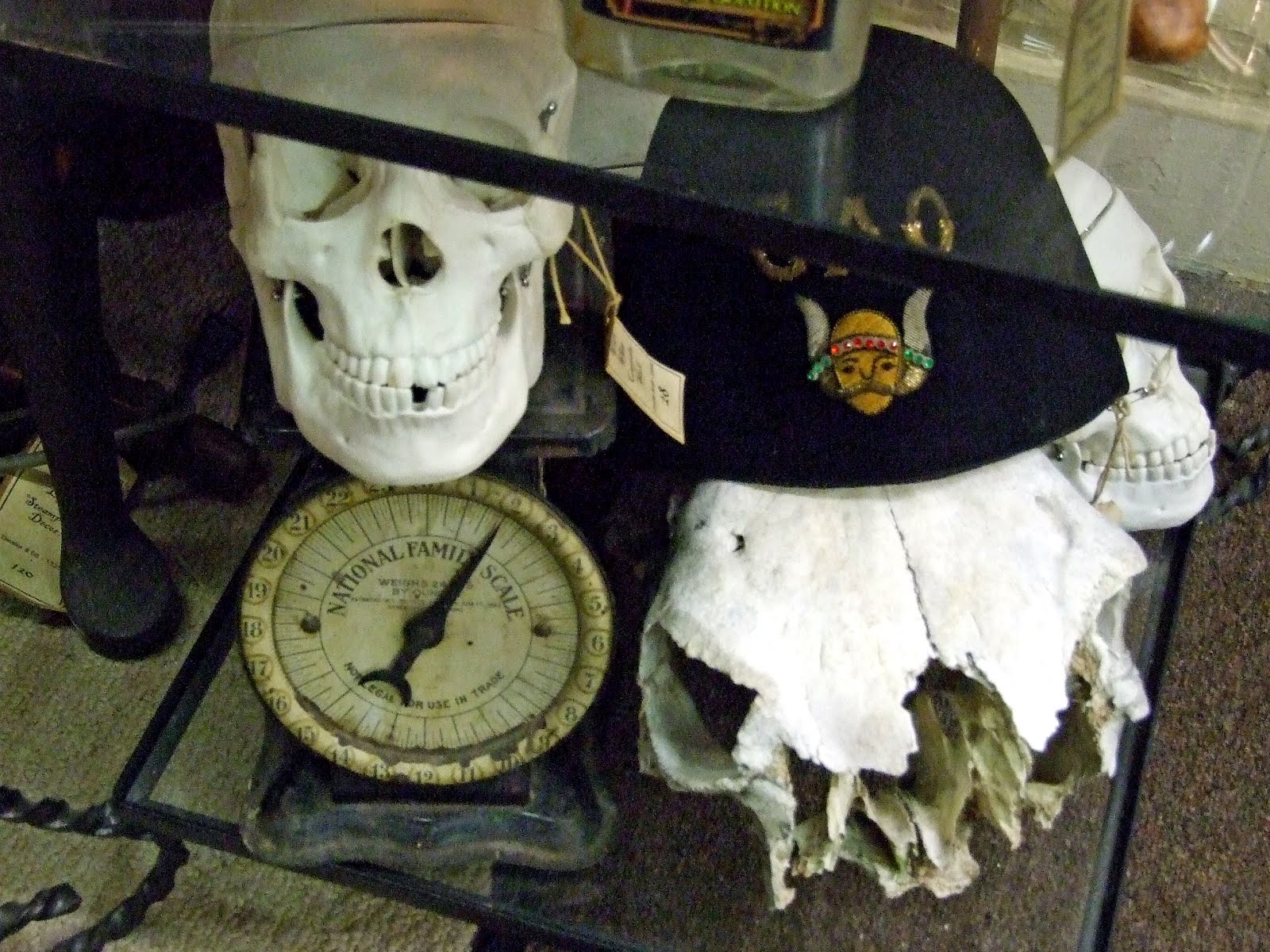 Pandora's Parlor: Antique Embalming Instruments and Other Cheerful Things