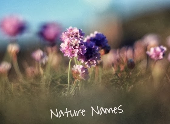 Nameisms ~ Baby Name Blog: Nature Baby Names