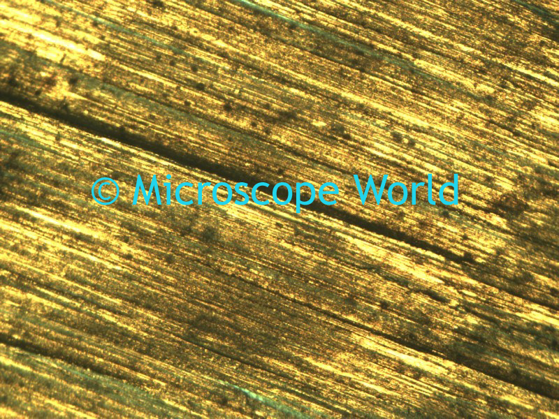 Microscope World Blog: Metals Under the Microscope