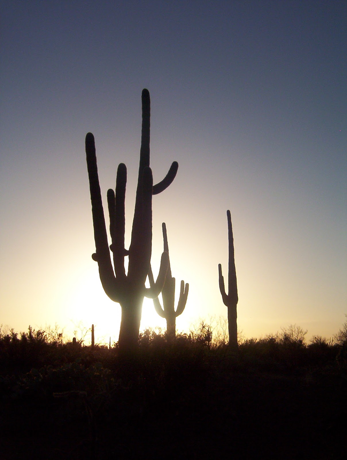 Execupundit.com: "Justice for Jack"