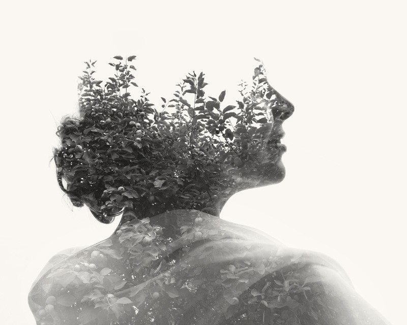 El Hurgador [Arte en la Red]: Christoffer Relander [Fotografía]