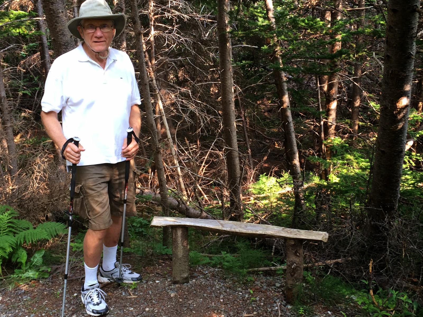 venturing4th: Hobbit benches