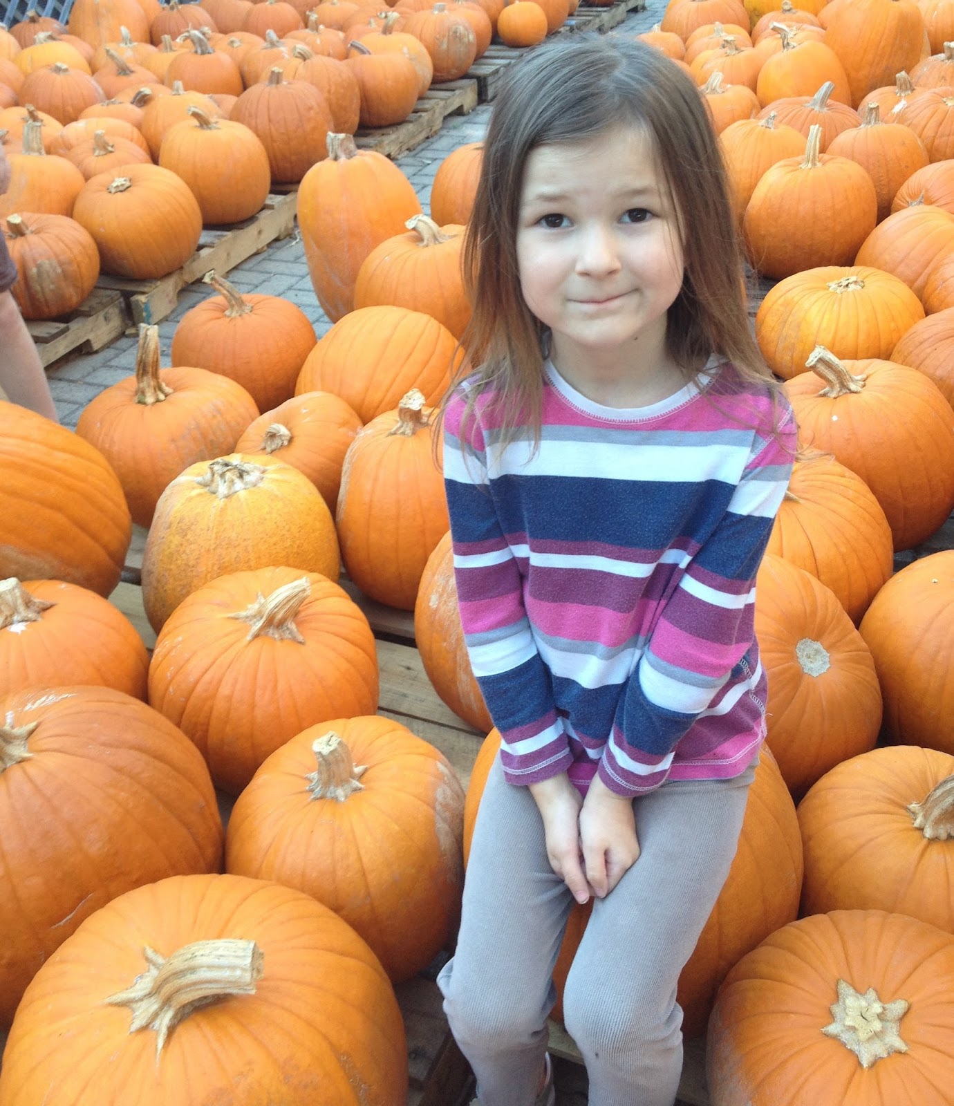 Cummins Life: Pumpkin Patch Fun