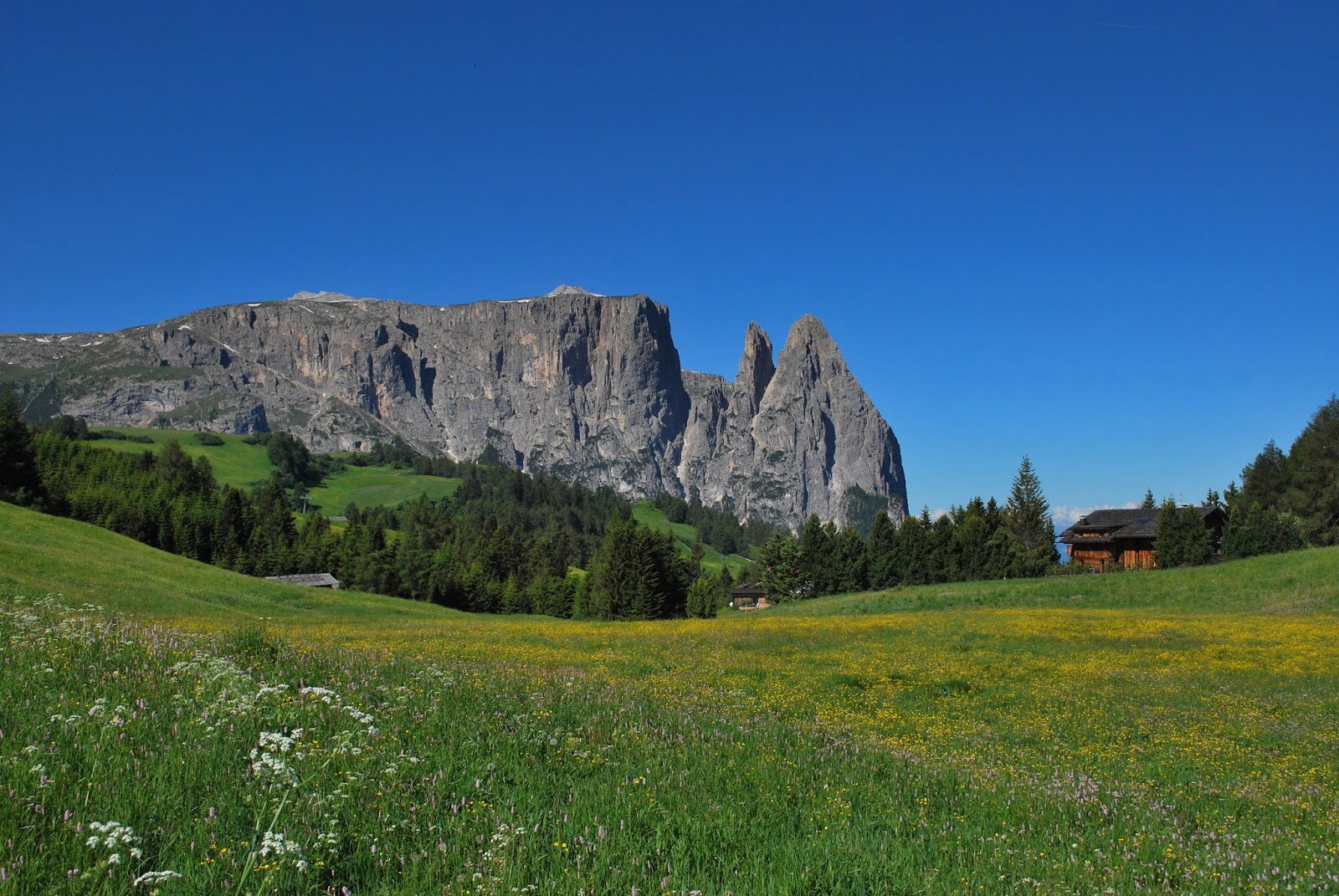 Foto Alta Via dello Sciliar