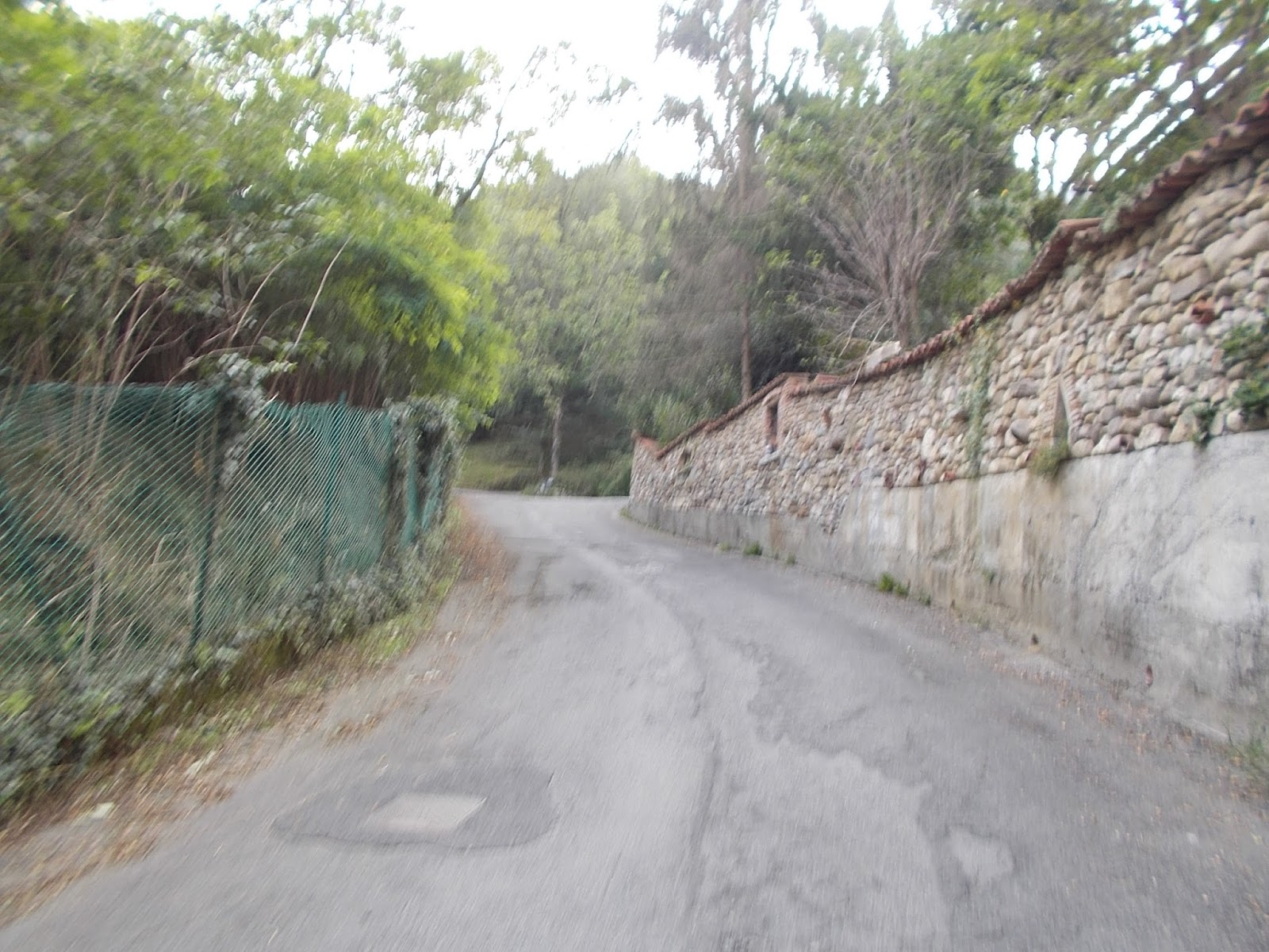 VIVENDO SALENDO: CARATTERISTICHE TECNICHE DELLA SALITA ALLA TENUTA "LA ...