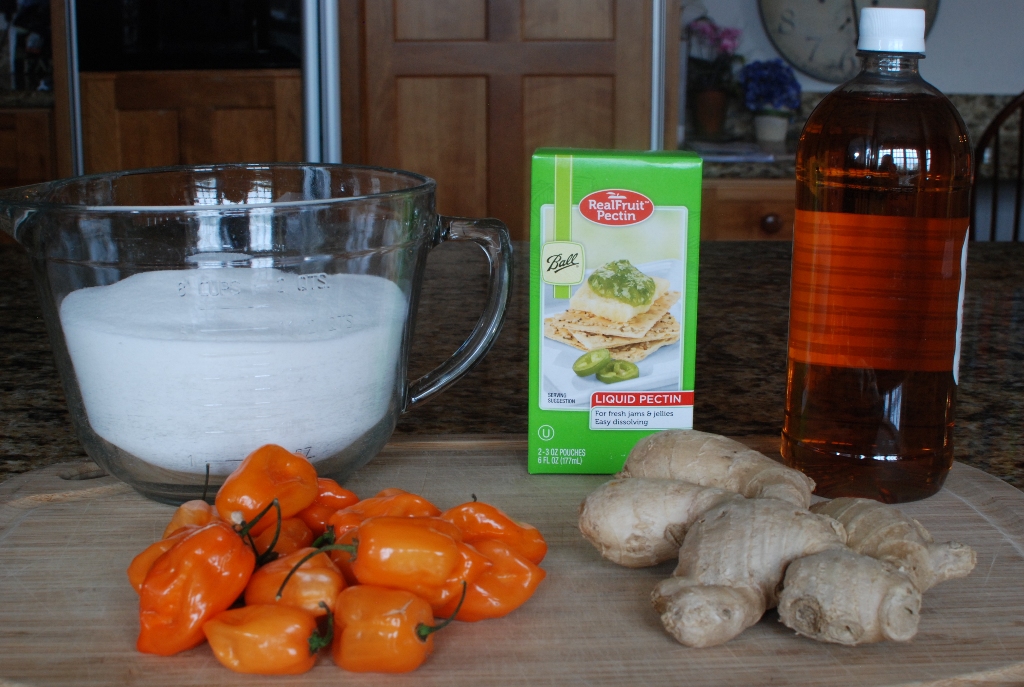 Habanero Ginger Jelly - Simply So Good