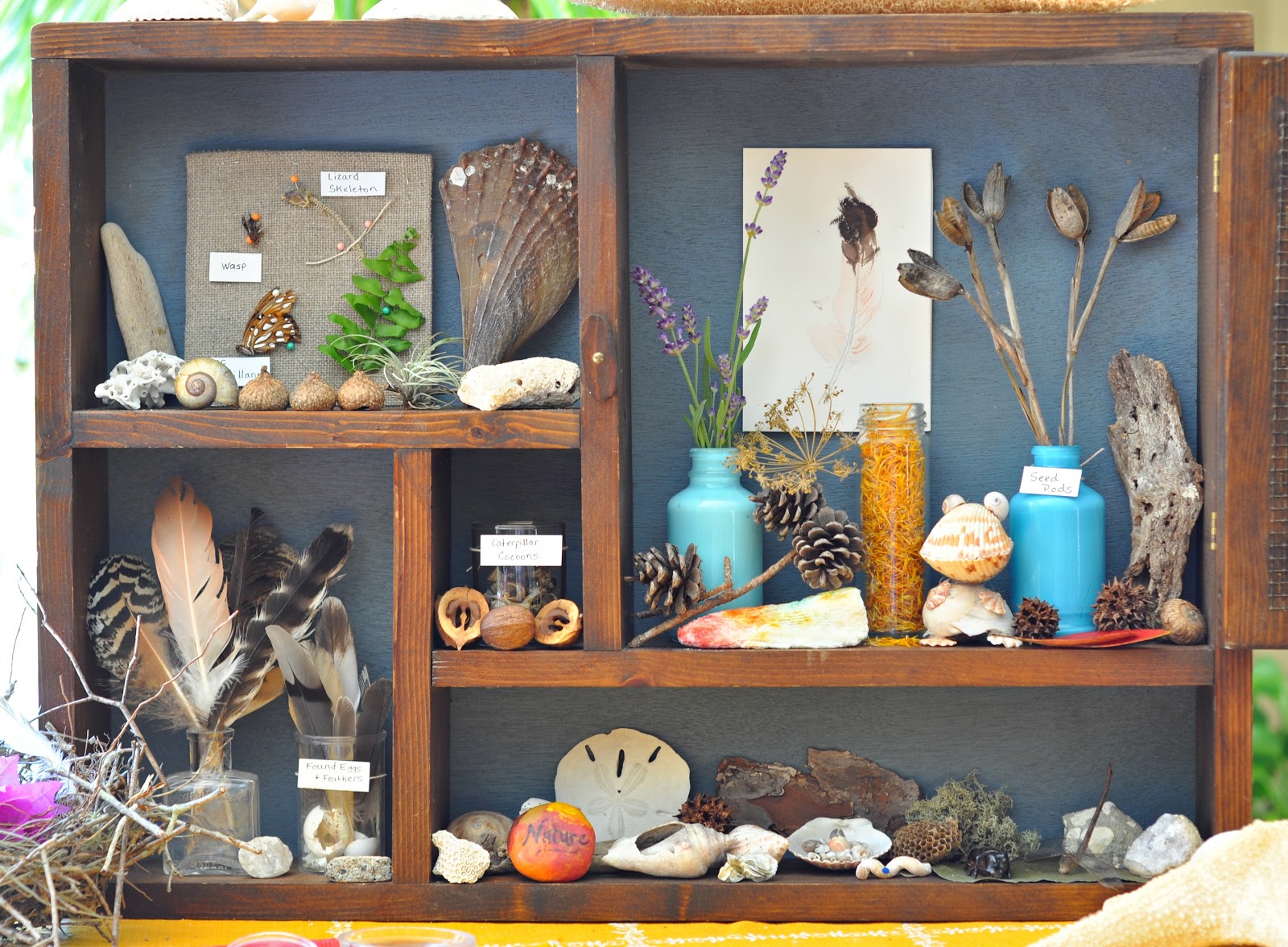 A Natural Nester: At-Home Summer Nature Camp eGuide