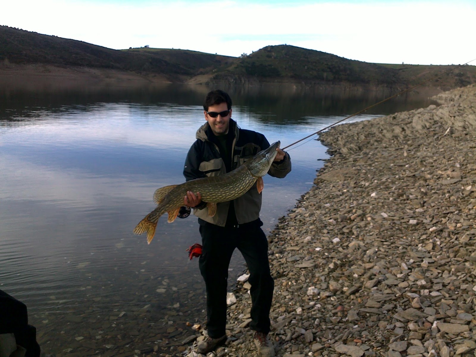 ONLY FLY FISH: LUCIO/PIKE/ESOX LUCIUS