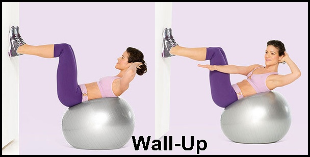 The Bodybuilding Encyclopedia Pdf: Exercise Ball Workouts To Lose Belly Fat