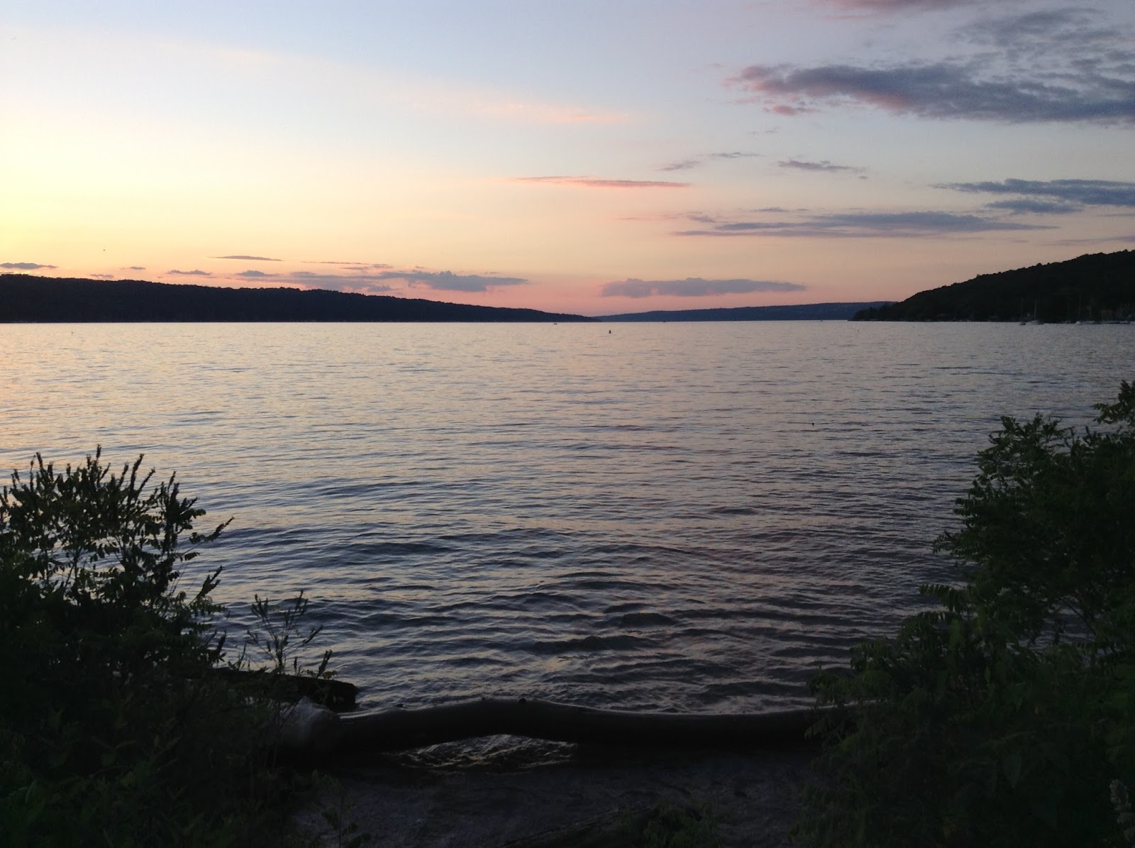 Lydia Pettis Imagery Guide, Life Coach and Creativity Consultant