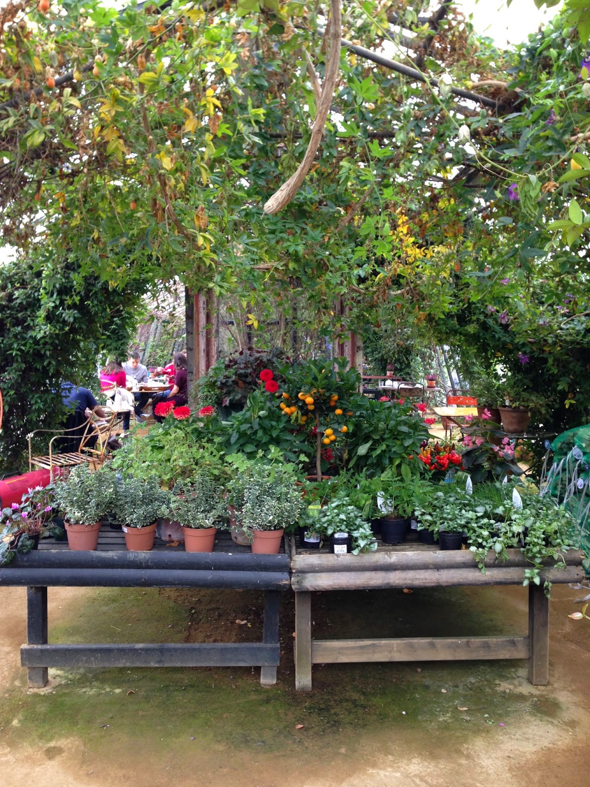 Alexandra D. Foster Destinations Perfected: Richmond, England - Lunch ...