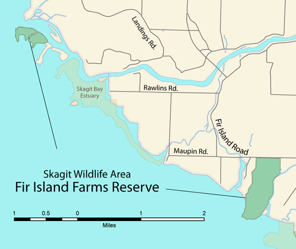 50 Days, 500 Miles, and 5 States When I Turn 50: Skagit Bay Estuary