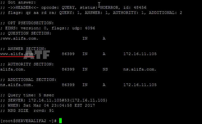 Lab 8.9 Use Proxy Backend Server and Forwarded Path - Sebuah Perjalananku