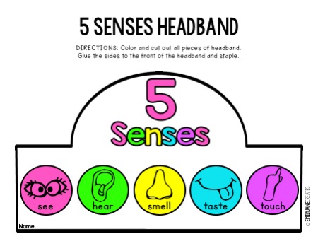 Emily Jane Creates: FIVE SENSES BUNDLE