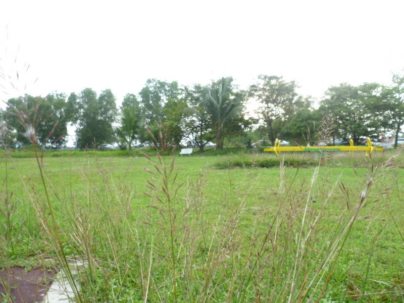 Ummu_Ammar: Kemuncup Eid Fitr