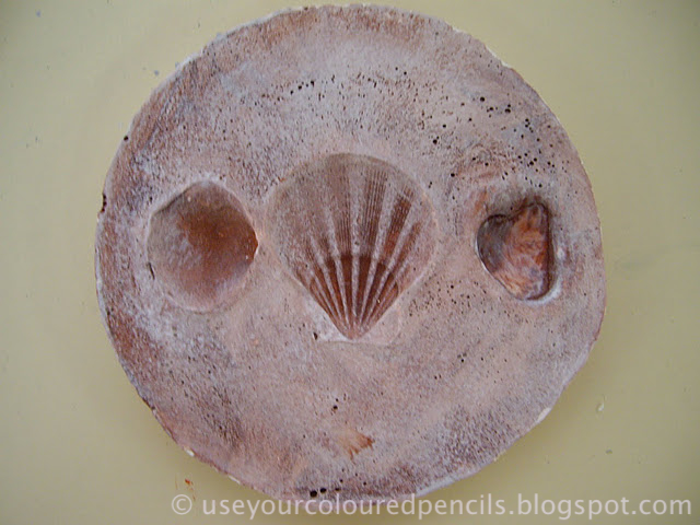 Use Your Coloured Pencils: Plaster Cast Fossils