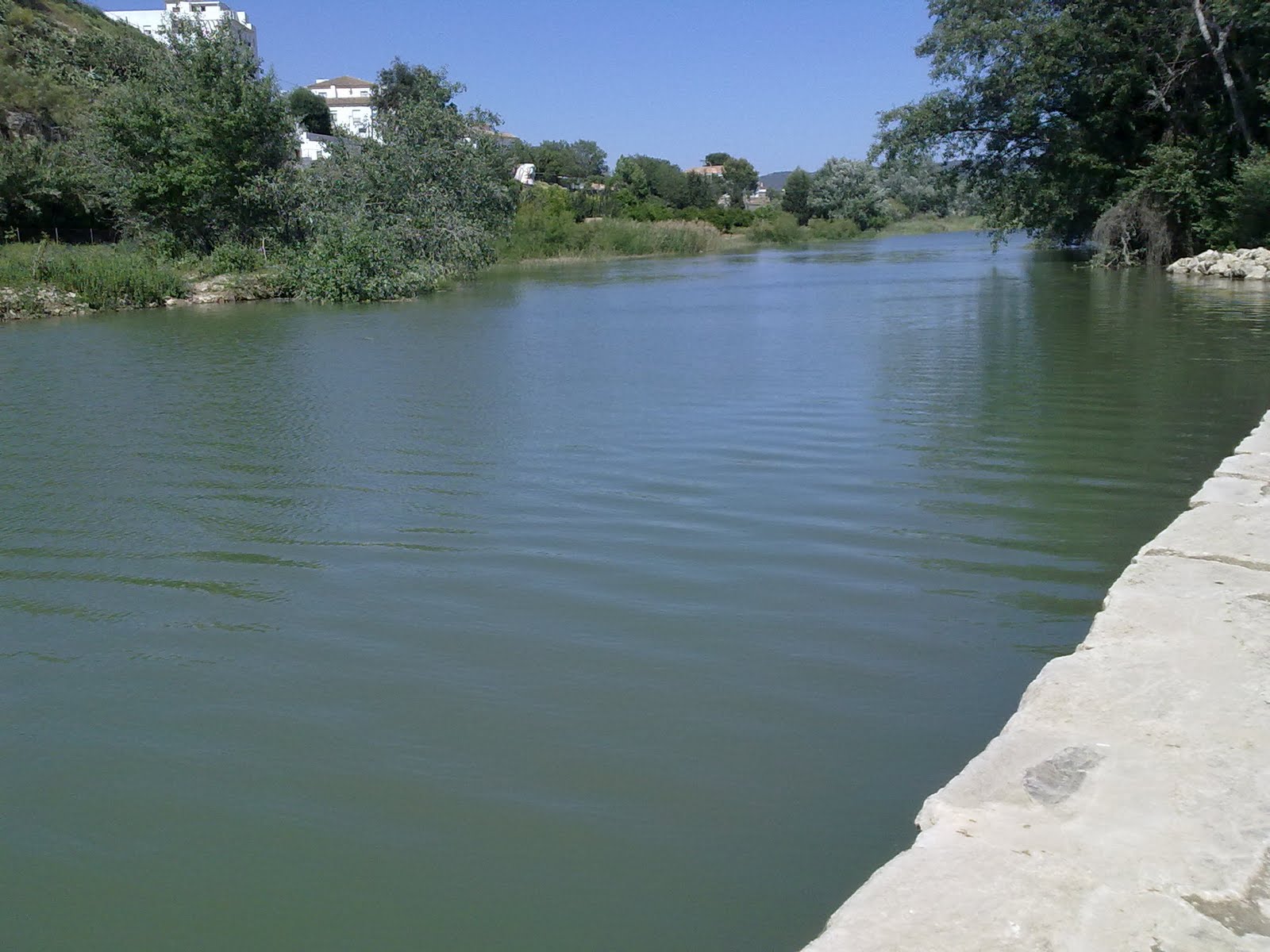 Félix Téllez: CAMINITO DEL RIO GUADALETE