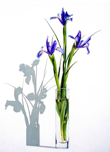 Hind art: Dominic Murray