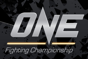 MMABLOGSPOT™: August 2013