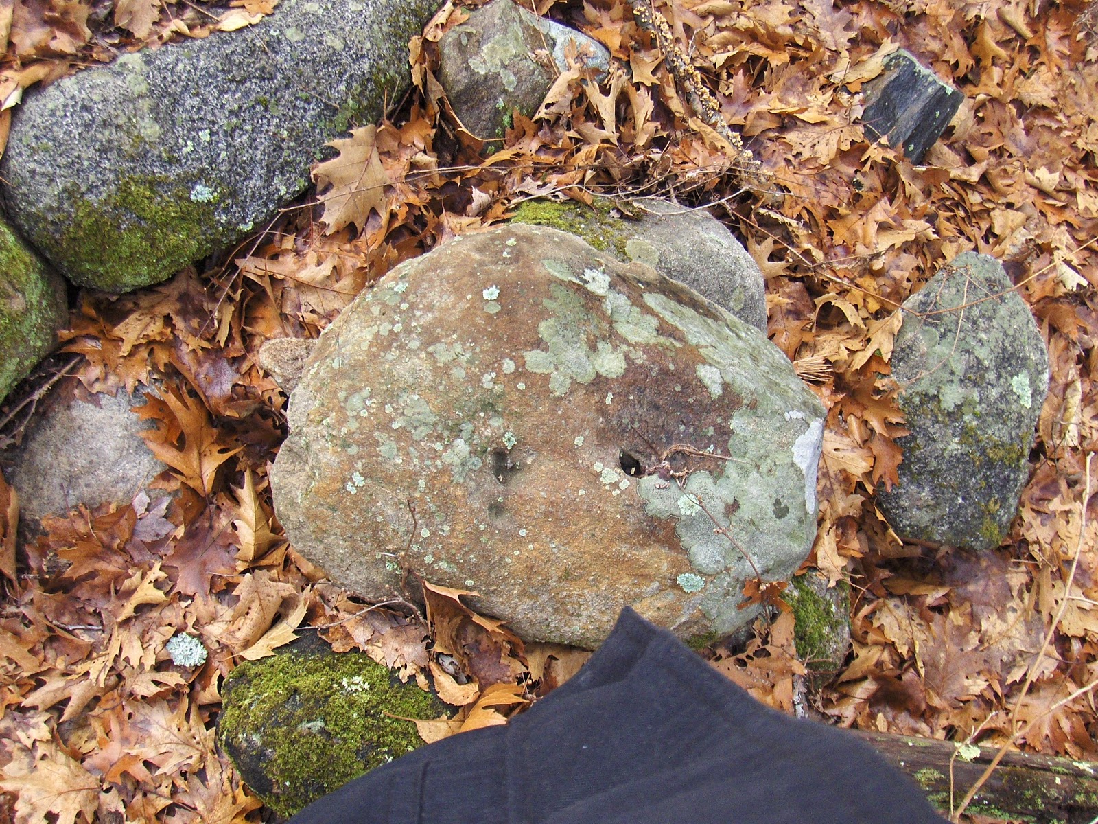 Rock Piles: Turtle shaped rock